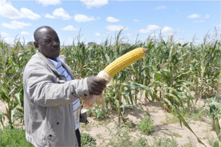 Botswana challenges farmers to adopt new agricultural technologies ...