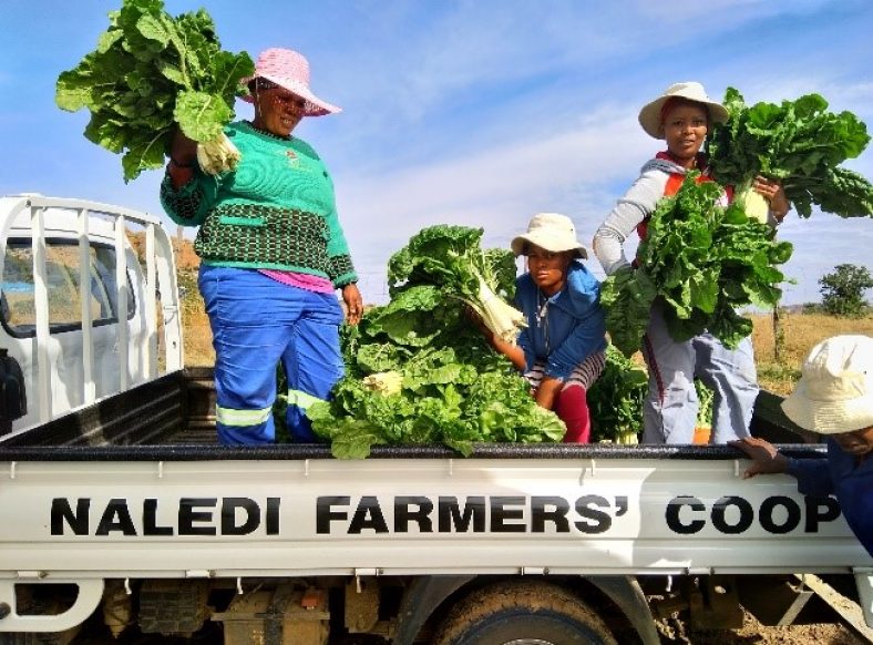 Tsebo Solutions Group supports community upliftment at Rustlers Valley ...