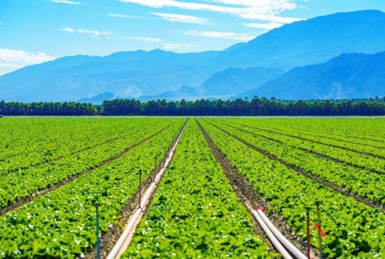 Robust pre-assembled panel systems for pumping applications - Farmers ...