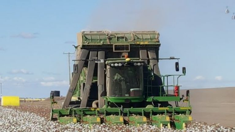 Cotton Processing and Ginning Equipment - Farmers Review Africa