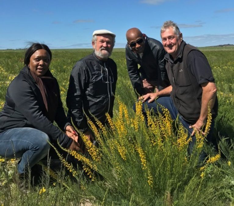 The scientific breakthrough that could turn Australia's arid land into ...
