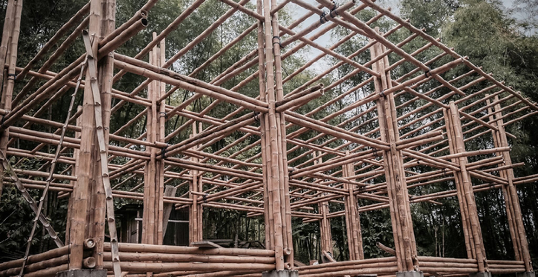Plants become building materials - Farmers Review Africa