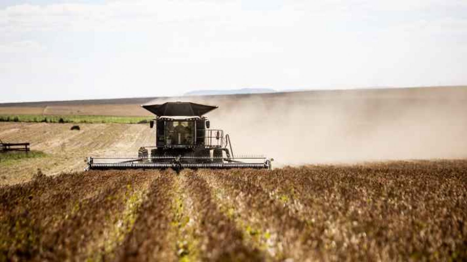 AGCO Africa sets a new benchmark in combine harvesters as it launches ...