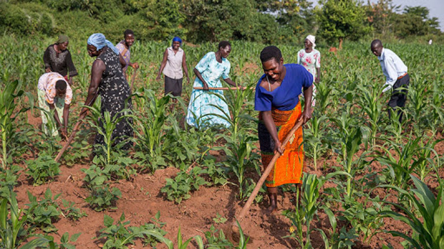 UK-Kenya Tech Hub to support Kenyan female AgriTech entrepreneurs