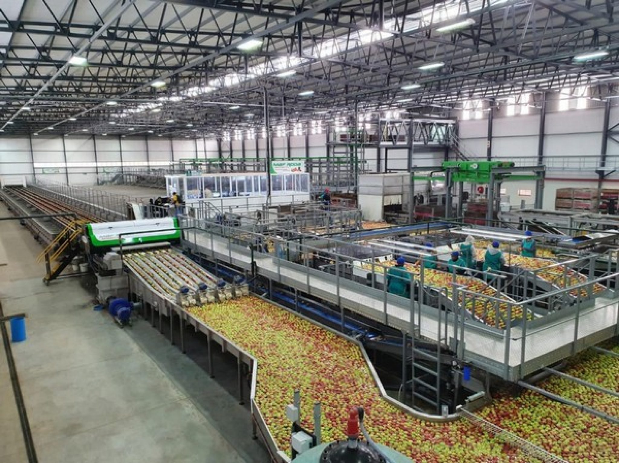 Aldi funds vegetable packhouse to help smallholder growers in Kenya