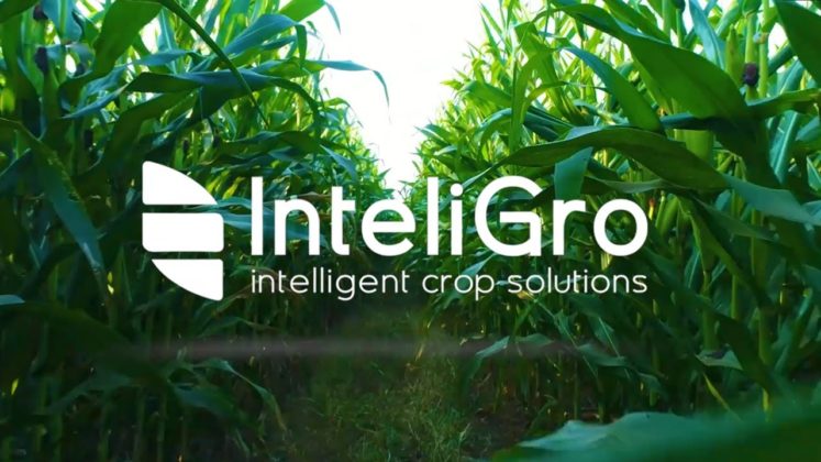 InteliGro sets the standard for Crop Advisors - Farmers Review Africa