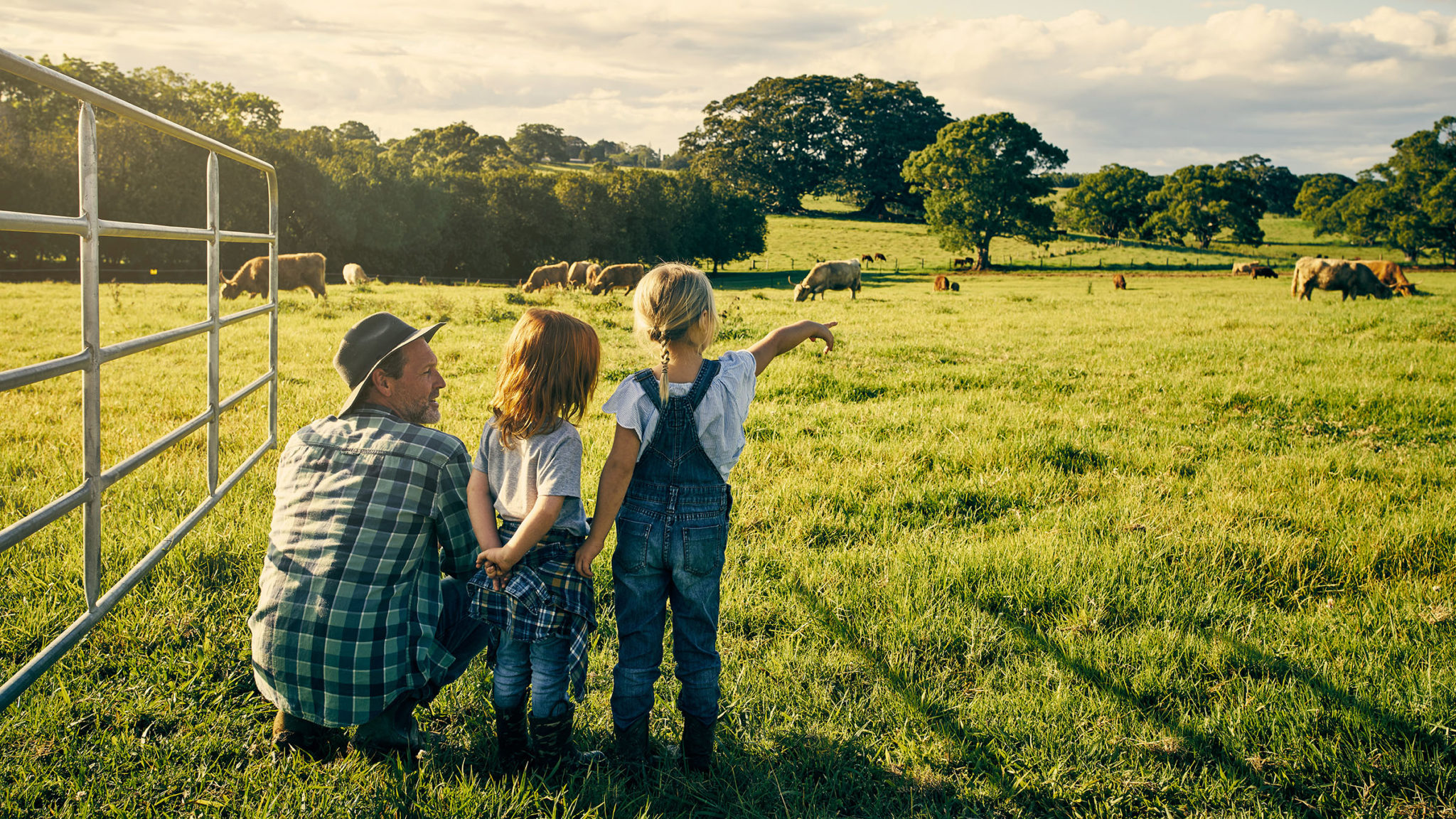 Dynamic dairy farming - how to foster sustainable milk production ...