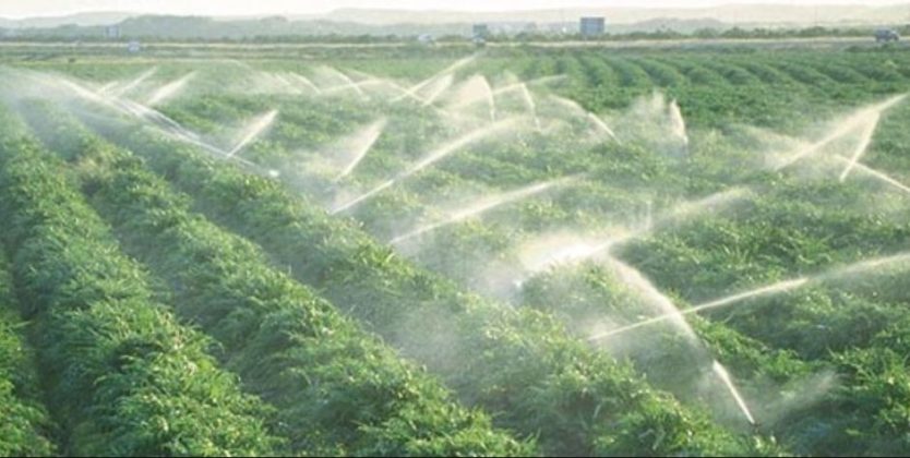 Morocco’s Green Plan on track to reach its strategic goals