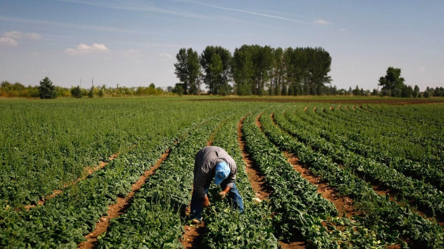 Agribank, Nab join forces to promote agriculture in Namibia