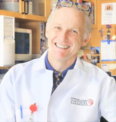 Dr Kenneth Simpson Announced as Recipient of 2022 WSAVA Scientific ...