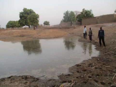 Fish Farming in Mali – Part of the Long-Term Solution to Militancy and ...