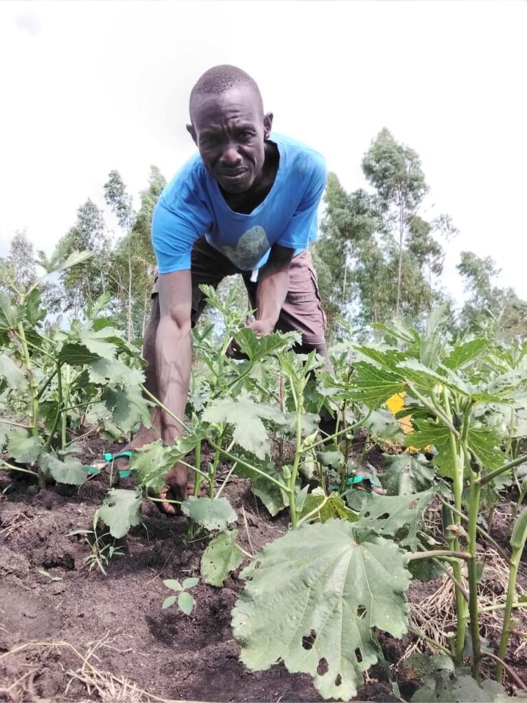 Kenyan okra farmer finds lucrative market in South Sudan