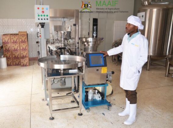 Lessons from banana farmer from western Uganda venturing into value ...