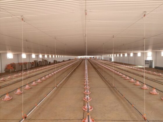 Energy-saving product assists poultry farmers with impact of loadshedding