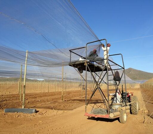 ZV citrus netting (002) - Farmers Review Africa