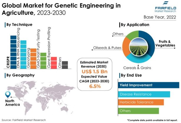 Genetic Engineering in Agriculture: Transforming the Future of Farming ...