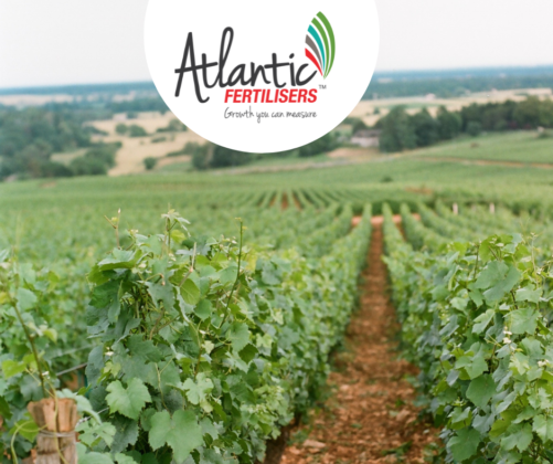 Atlantic fertilisers offers successful post-harvest fertilisation