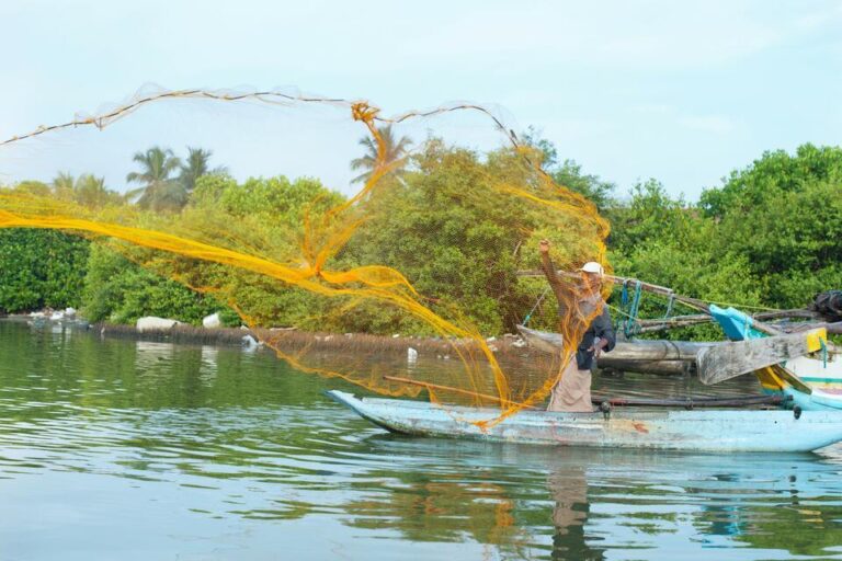 Marine heatwaves driving fish decline four times faster than ocean ...