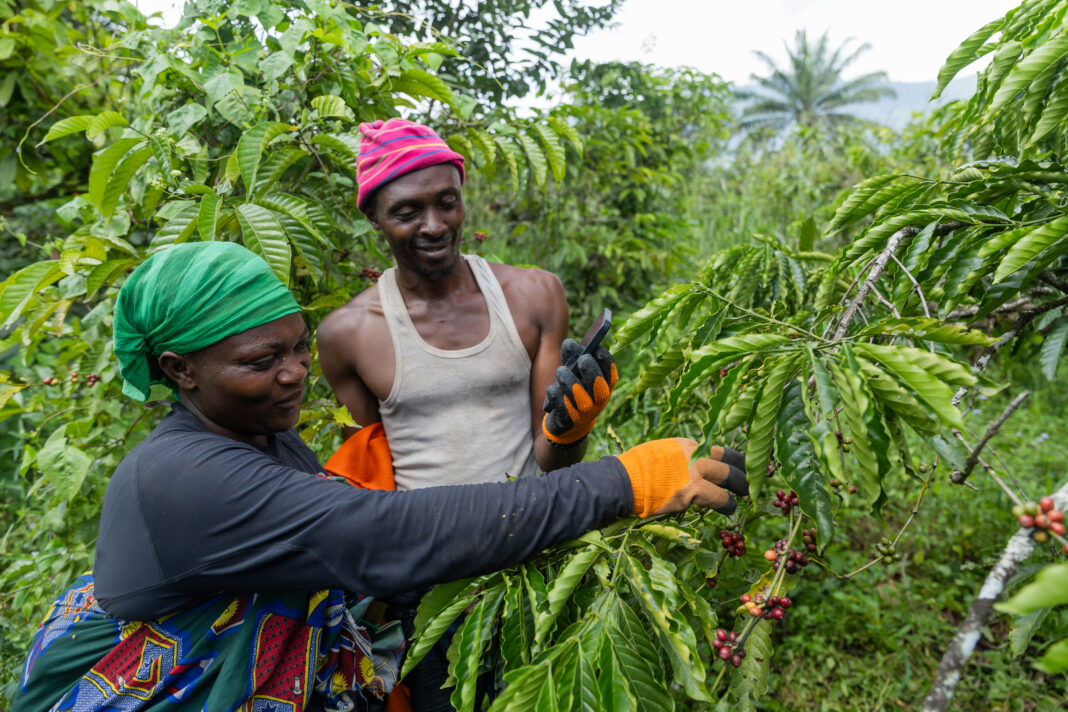 €2.75B in East African Agri-Exports at Risk
