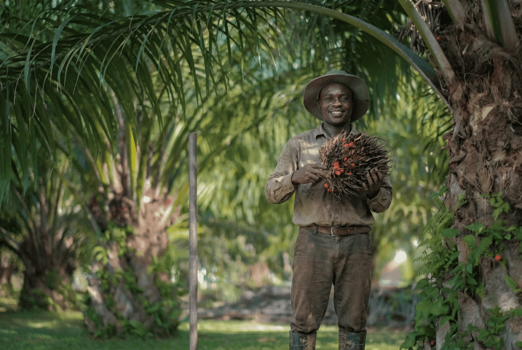 Planting Naturals Establish Sierra Leone’s First Organic