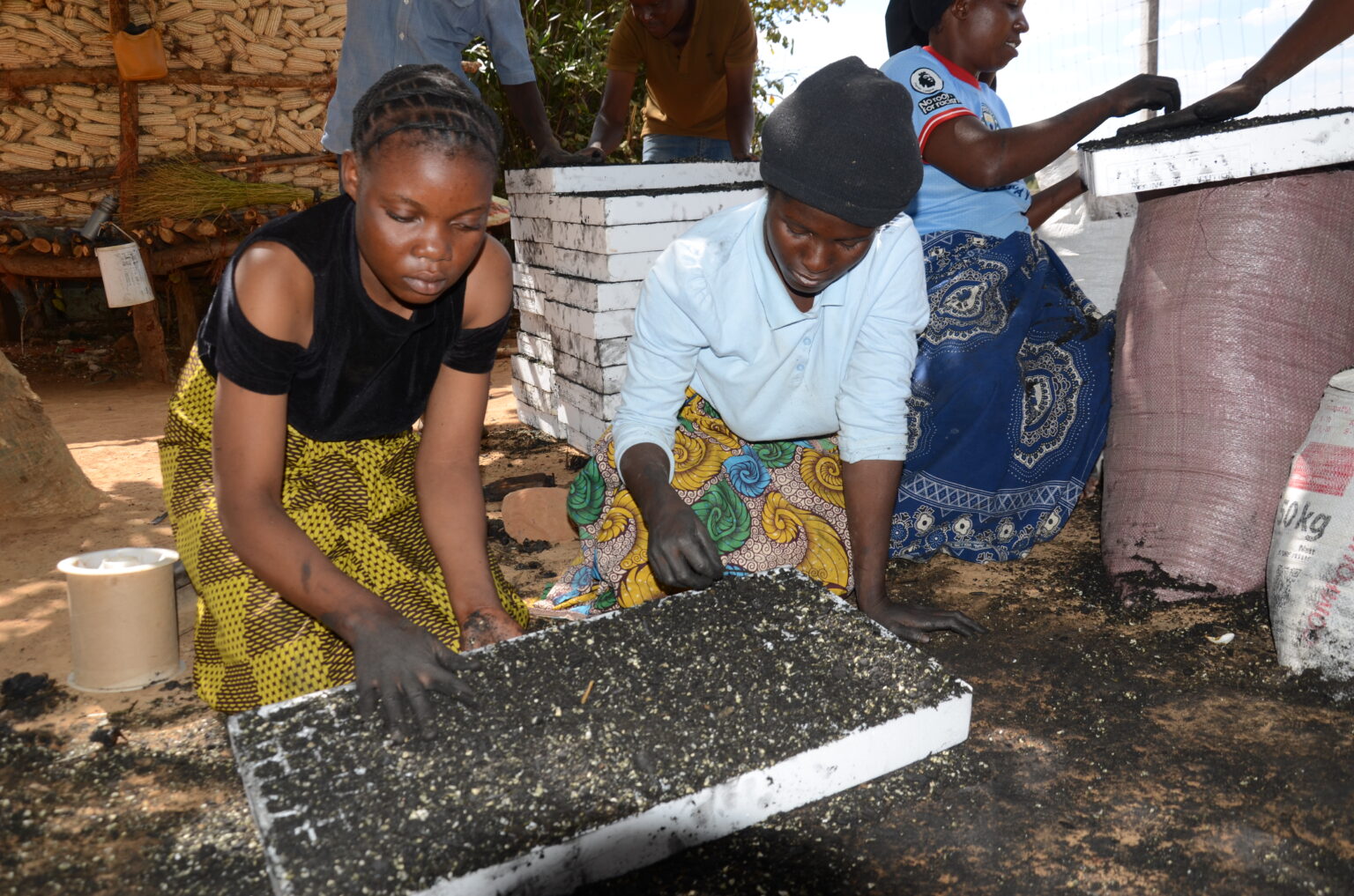Climate-smart horticulture guide launched to support small-scale ...